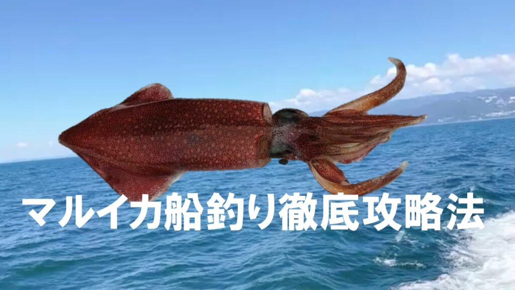 マルイカの船釣り徹底攻略法